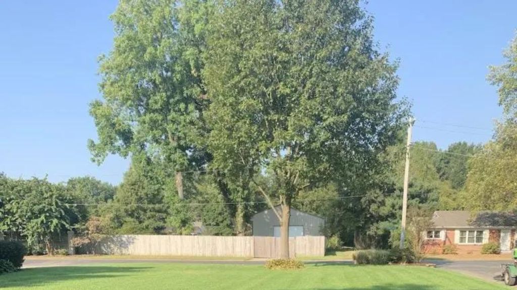 Lawn Care Business Blog: Tips, Guides & Best Practices - SPRAYE